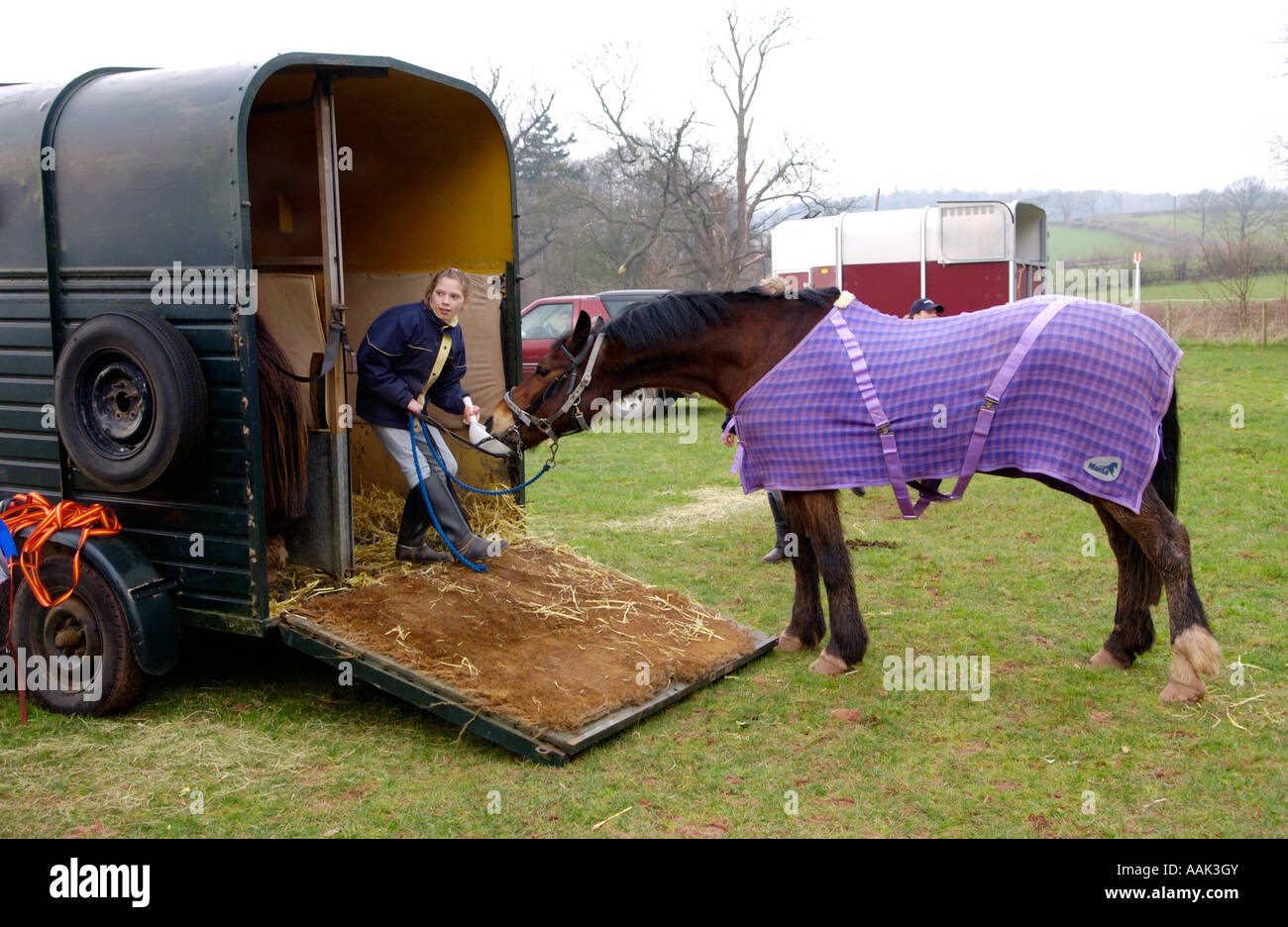Coaxing Stock Photos & Coaxing Stock Images - Alamy