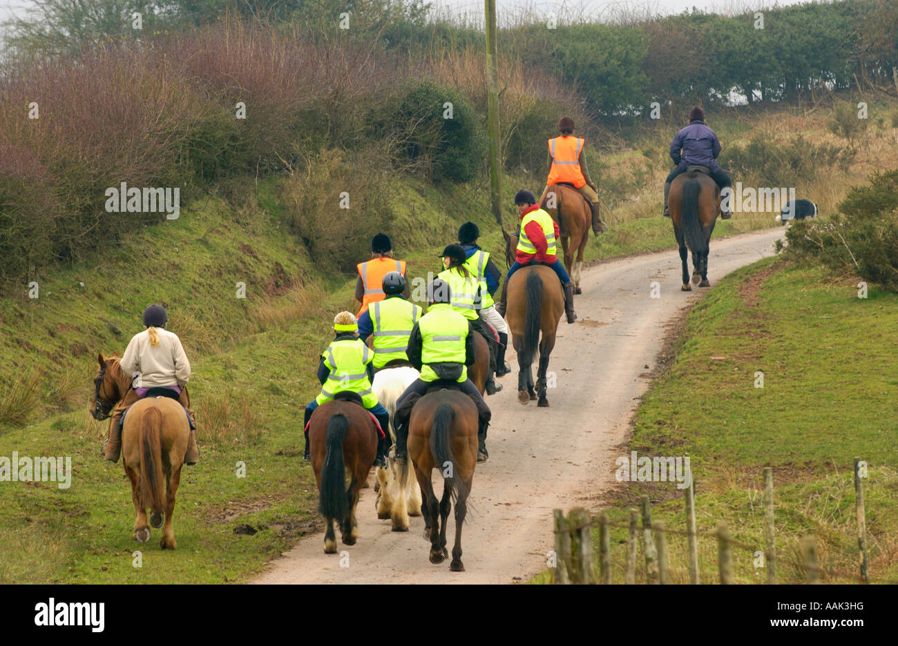 Black mountains wales horse hi-res stock photography and images - Alamy