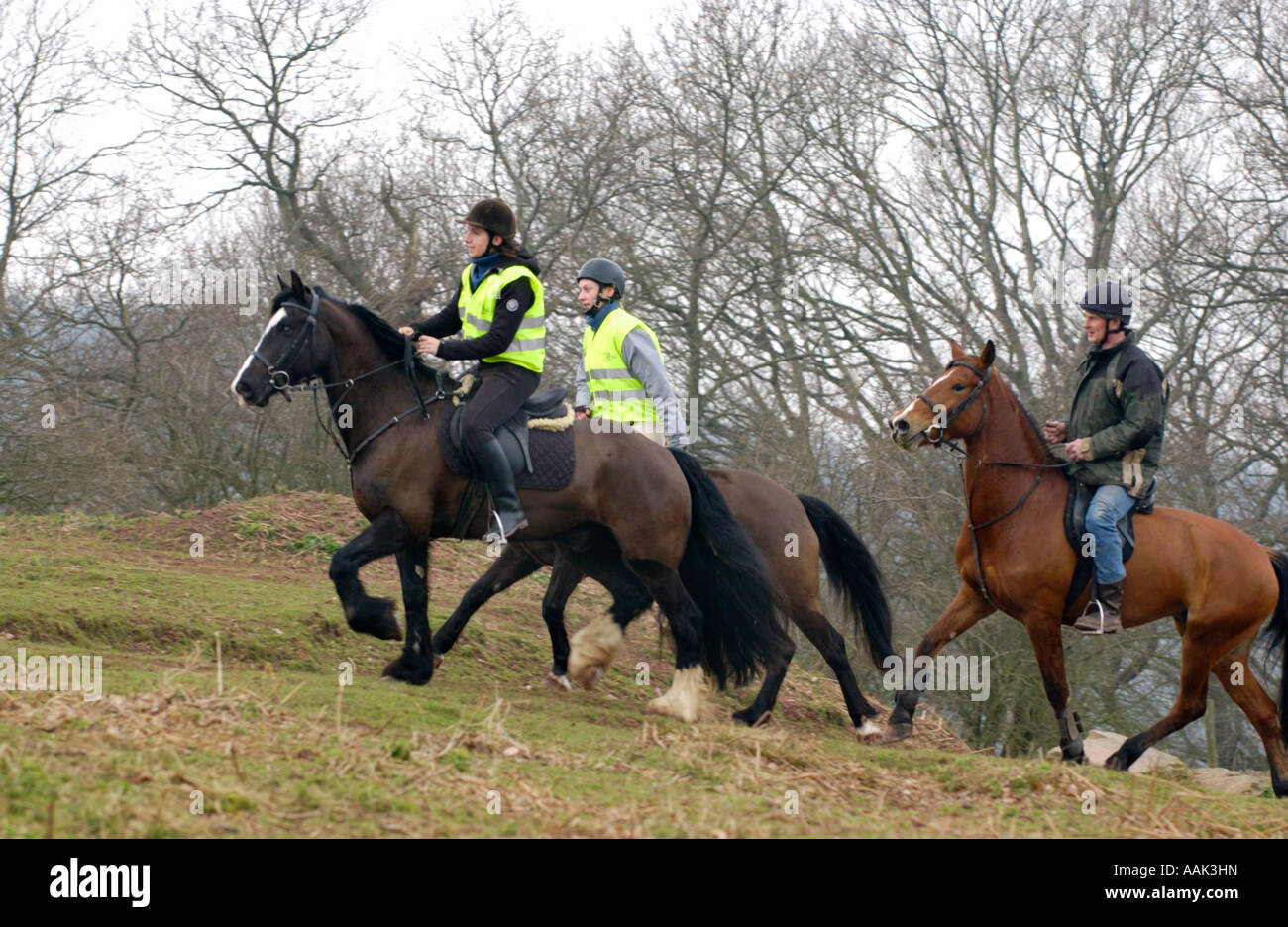 Pony trekkers riding thru open country on a Black Mountains riding loop ...