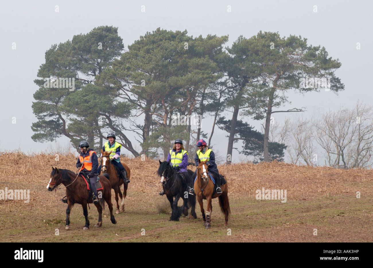 Pony trekkers on a Black Mountains riding loop from Tregoyd Mountain ...