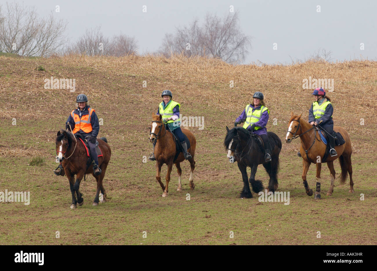 Pony trekkers riding thru open country on a Black Mountains riding loop ...