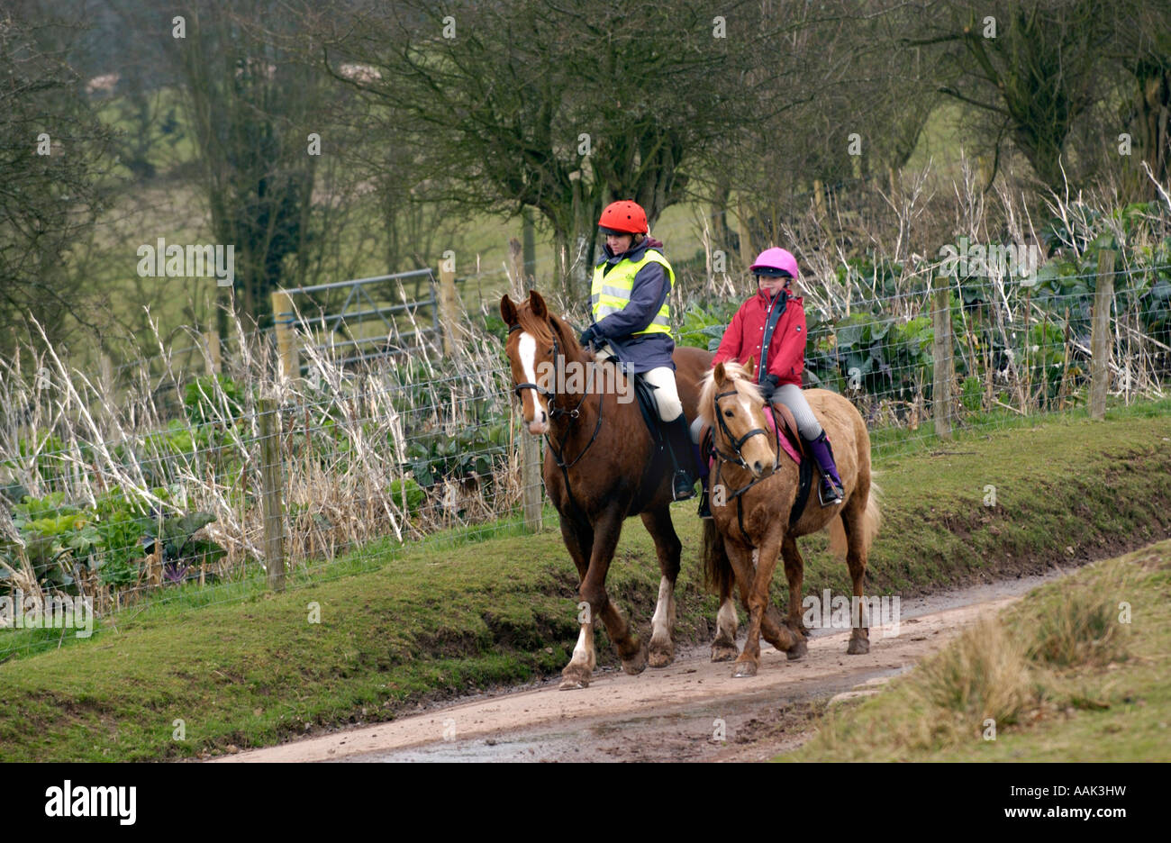 Pony trekkers riding down country lane on a Black Mountains riding loop ...