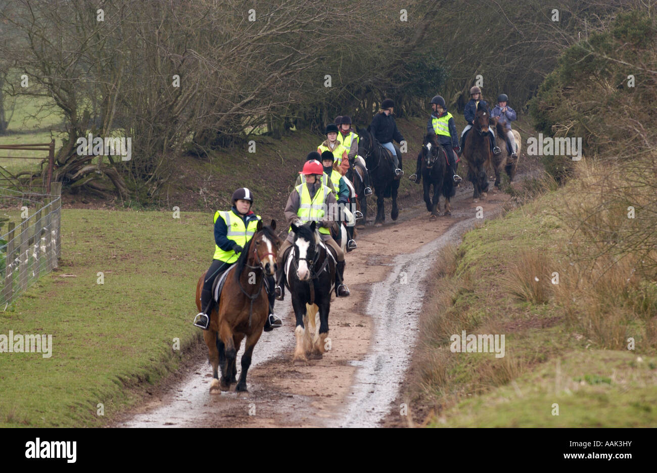 Pony trekkers riding down country lane on a Black Mountains riding loop ...