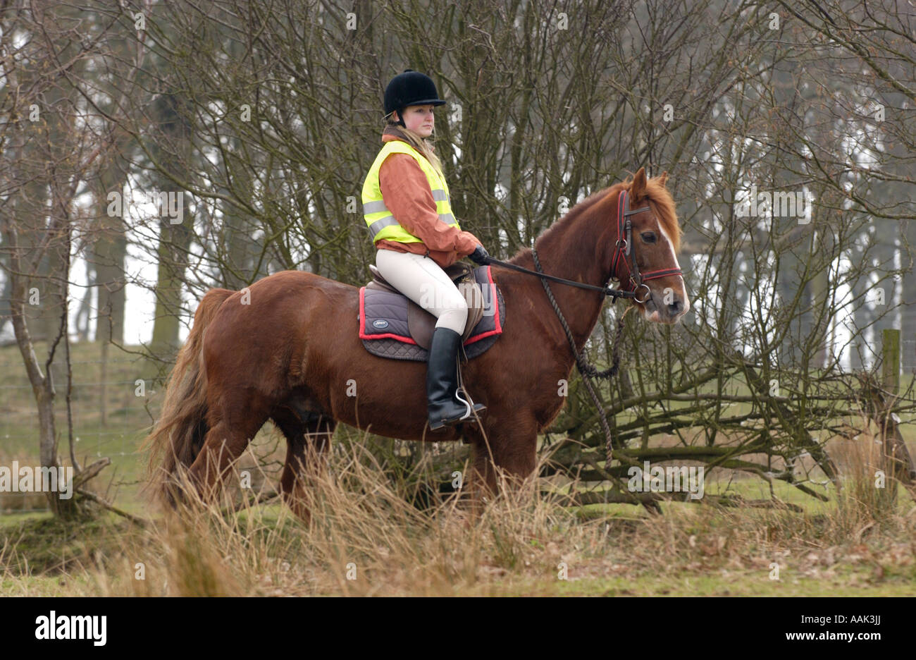 Pony trekkers riding thru open country on a Black Mountains riding loop ...