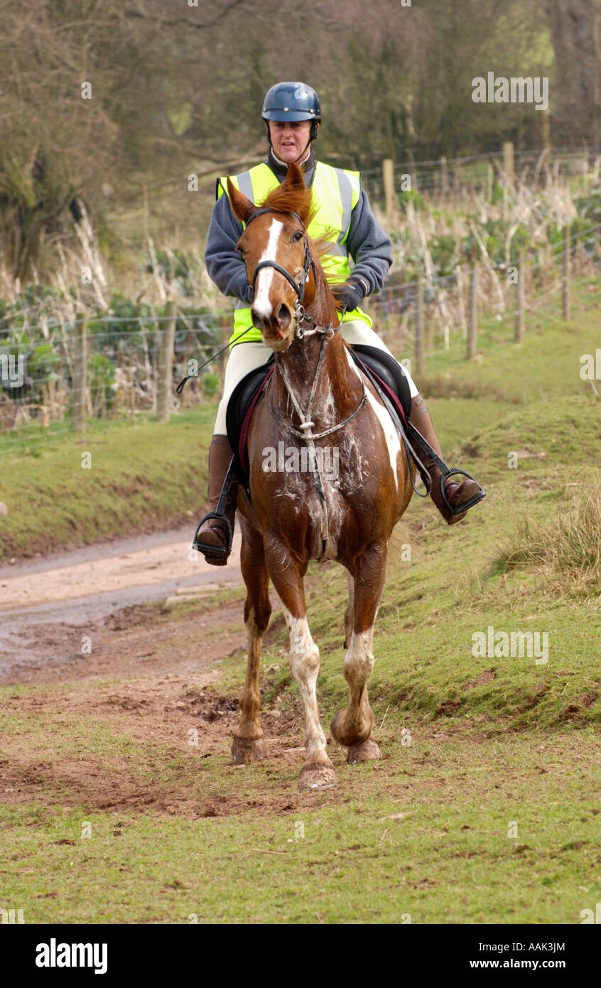 Pony trekkers riding down country lane on a Black Mountains riding loop ...