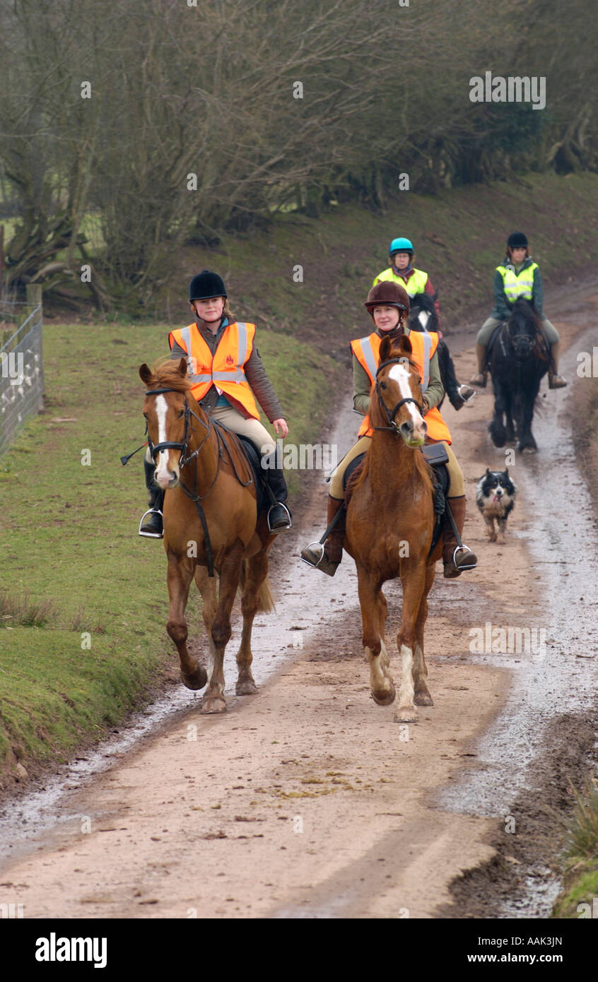 Pony trekkers riding down country lane on a Black Mountains riding loop ...