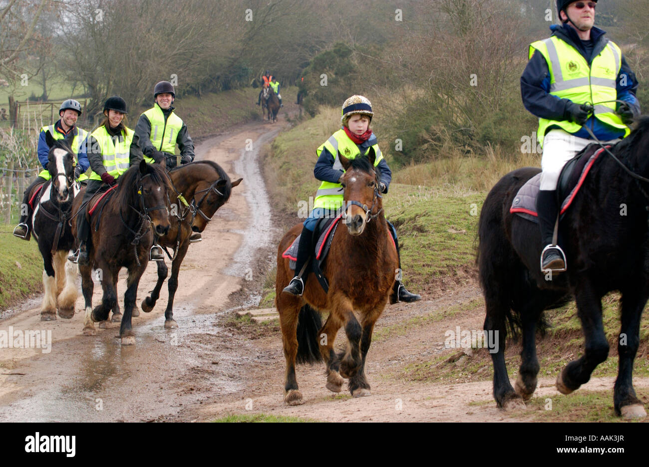 Pony trekkers riding down country lane on a Black Mountains riding loop ...