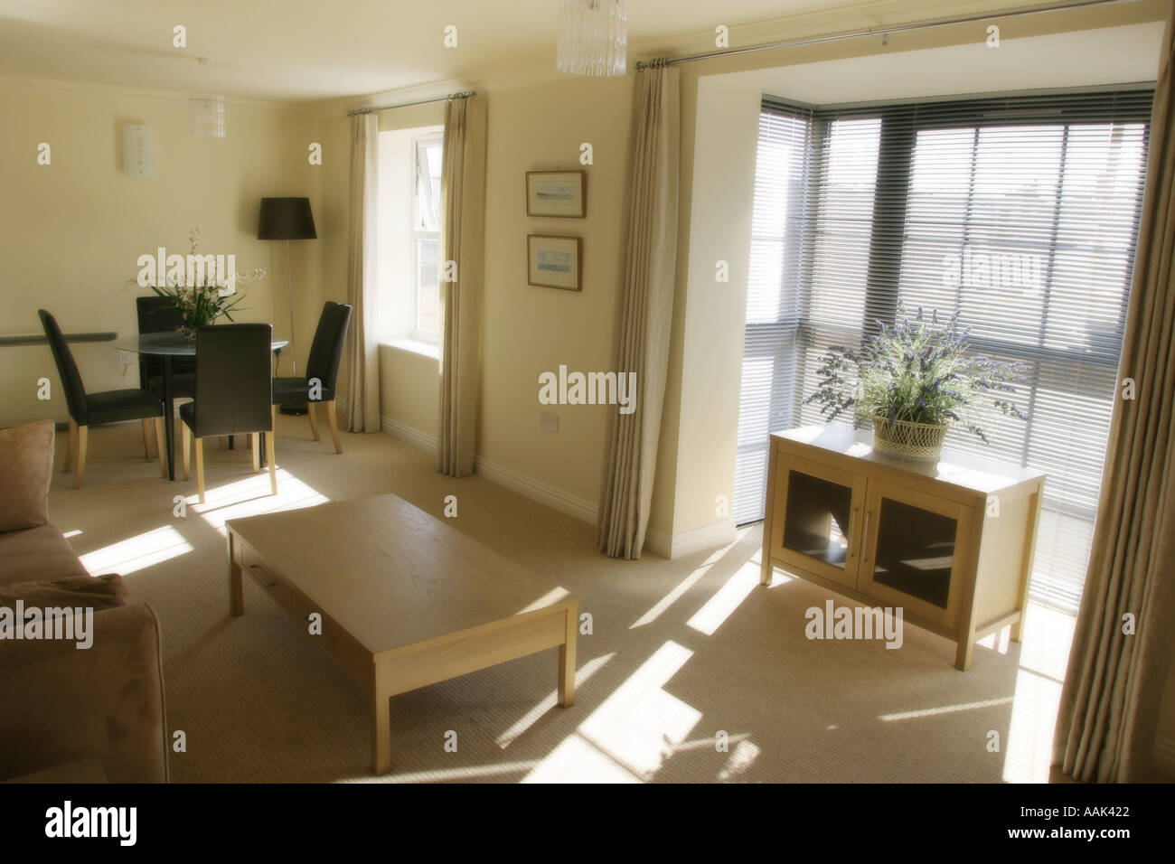 modern flat living room england isle of wight england uk great britain ...