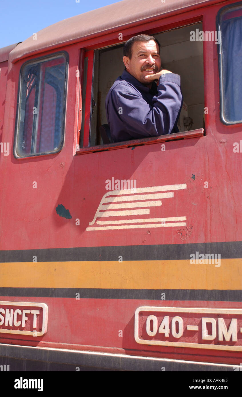Rail lizard hi-res stock photography and images - Alamy