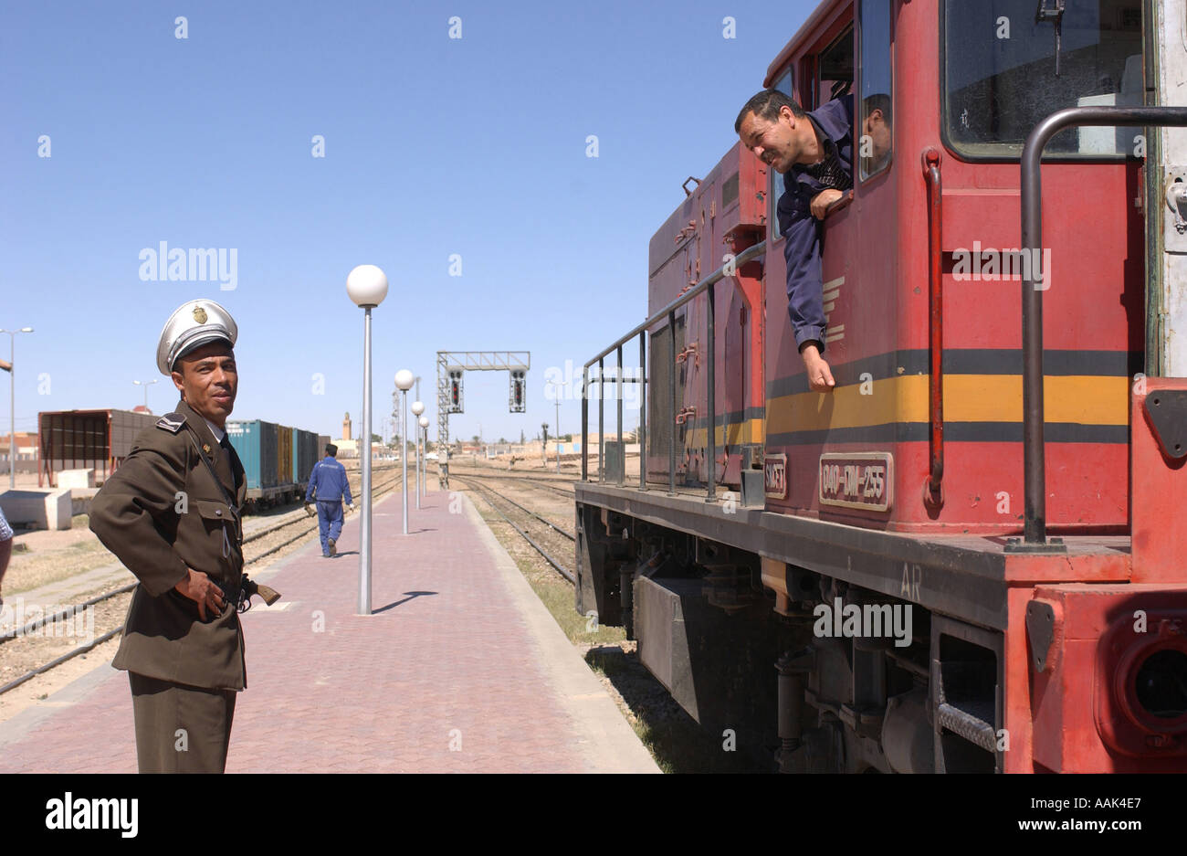 Rail lizard hi-res stock photography and images - Alamy