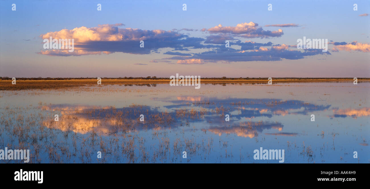Tanami desert hi-res stock photography and images - Alamy