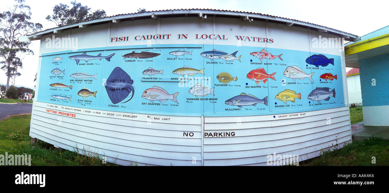 Caravan park fish mural by artist Fred Watson Rest Point Walpole Inlet ...