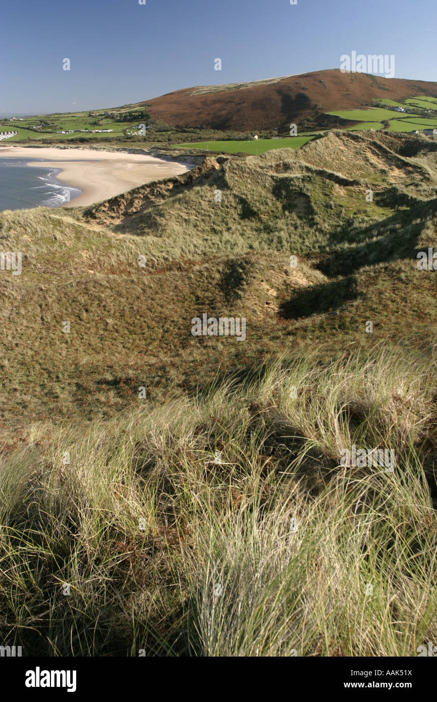 Burry holmes hi-res stock photography and images - Alamy