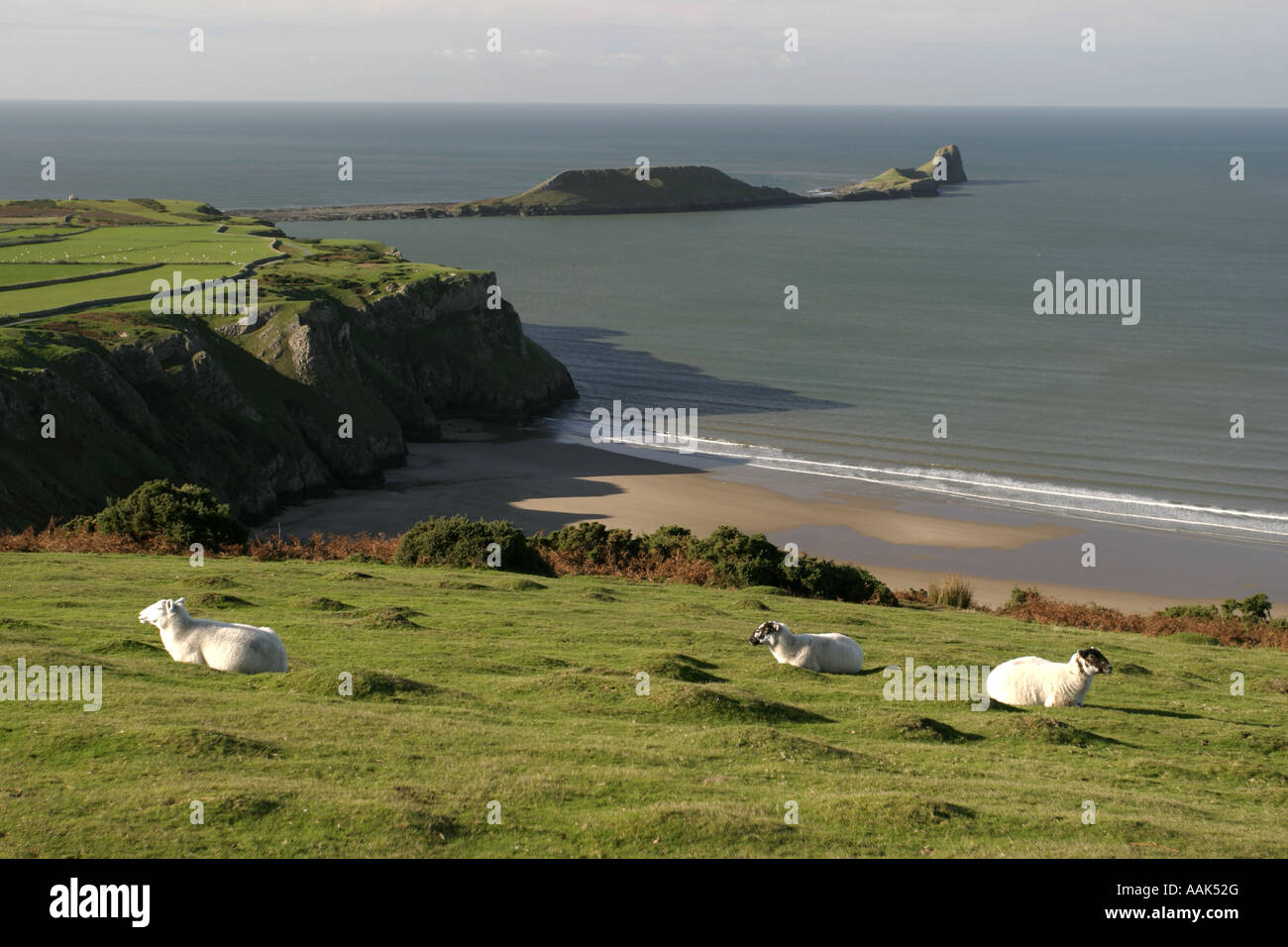 Gower, Worms Head From Rhossili Down Stock Photo - Alamy
