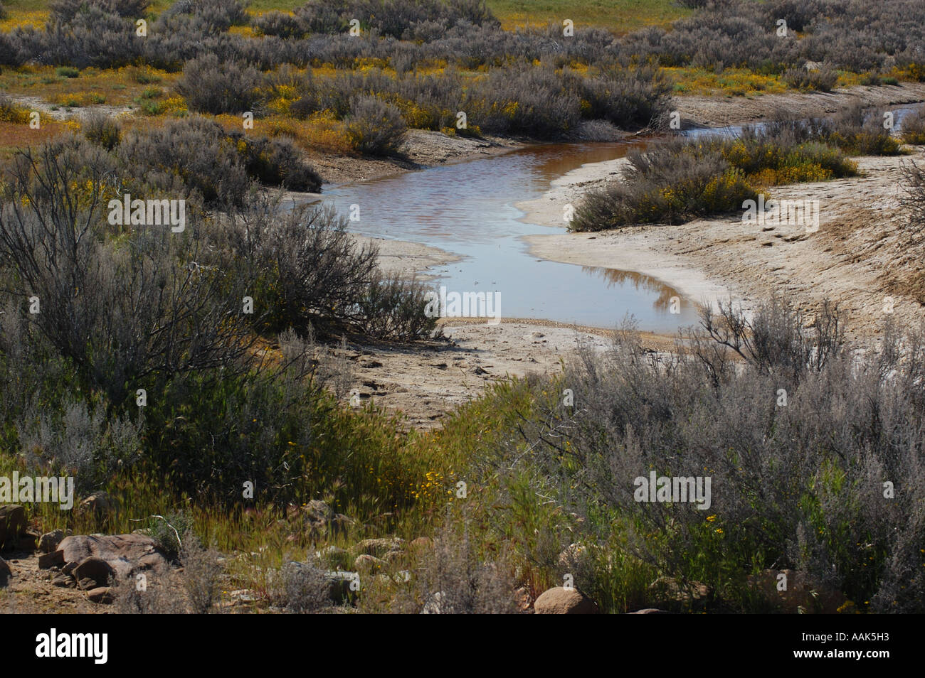 Carrizo Plain National Monument Stock Photo - Alamy