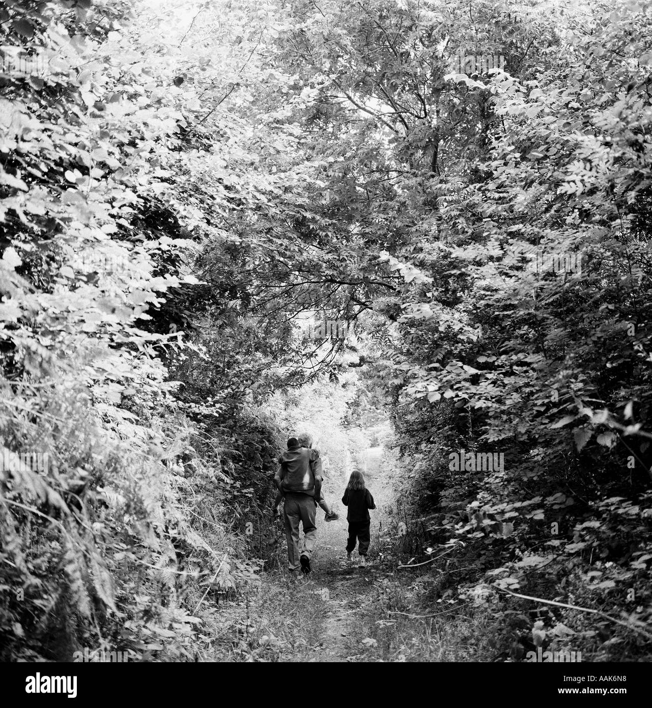 C Insert Sibling Node Into Xml Document Stack Overflow