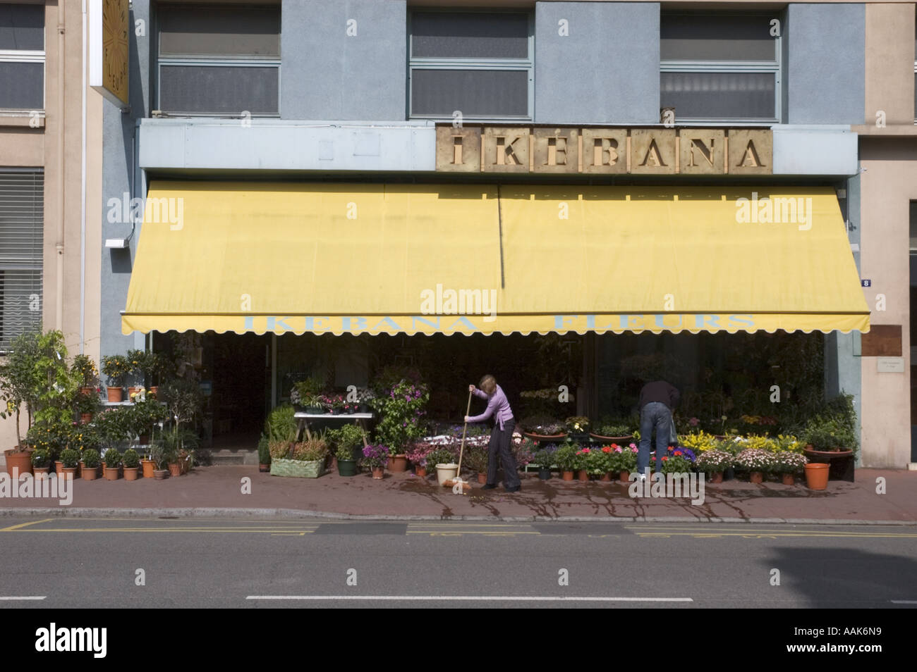 French shop front florist hi-res stock photography and images - Alamy