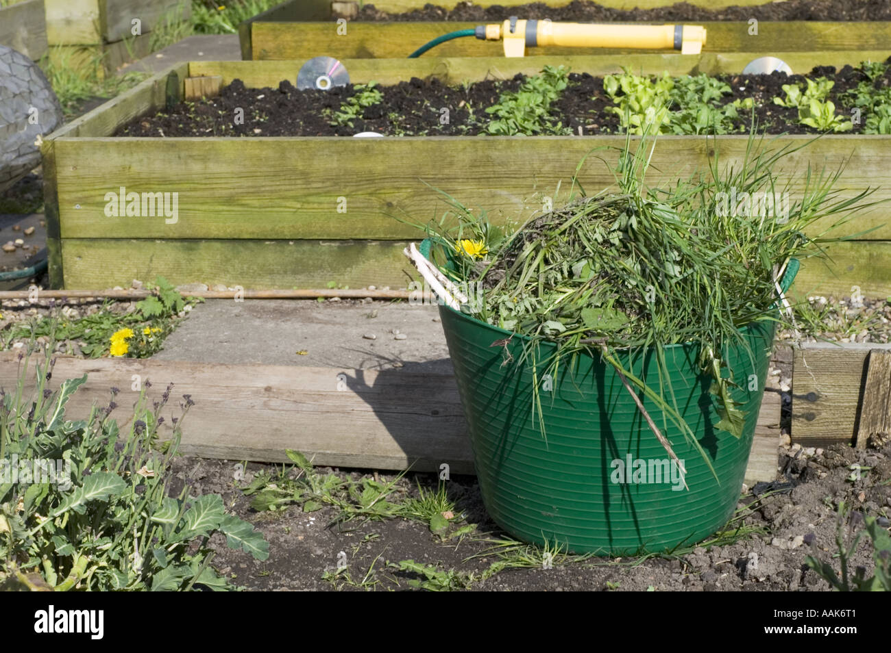 Front garden raised beds hi-res stock photography and images - Alamy