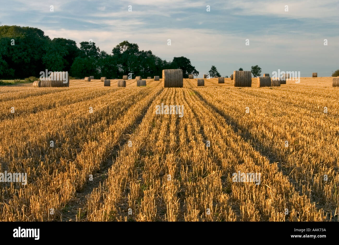 Barkway hertfordshire hi-res stock photography and images - Alamy