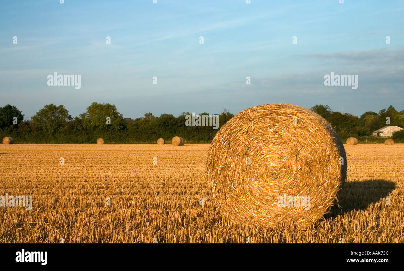 Bale of Hay Stock Photo - Alamy