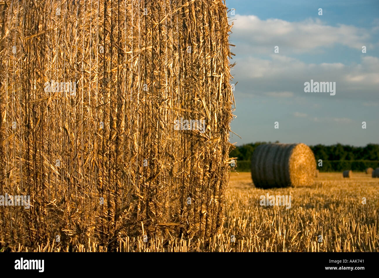 Hay bale blur hi-res stock photography and images - Alamy