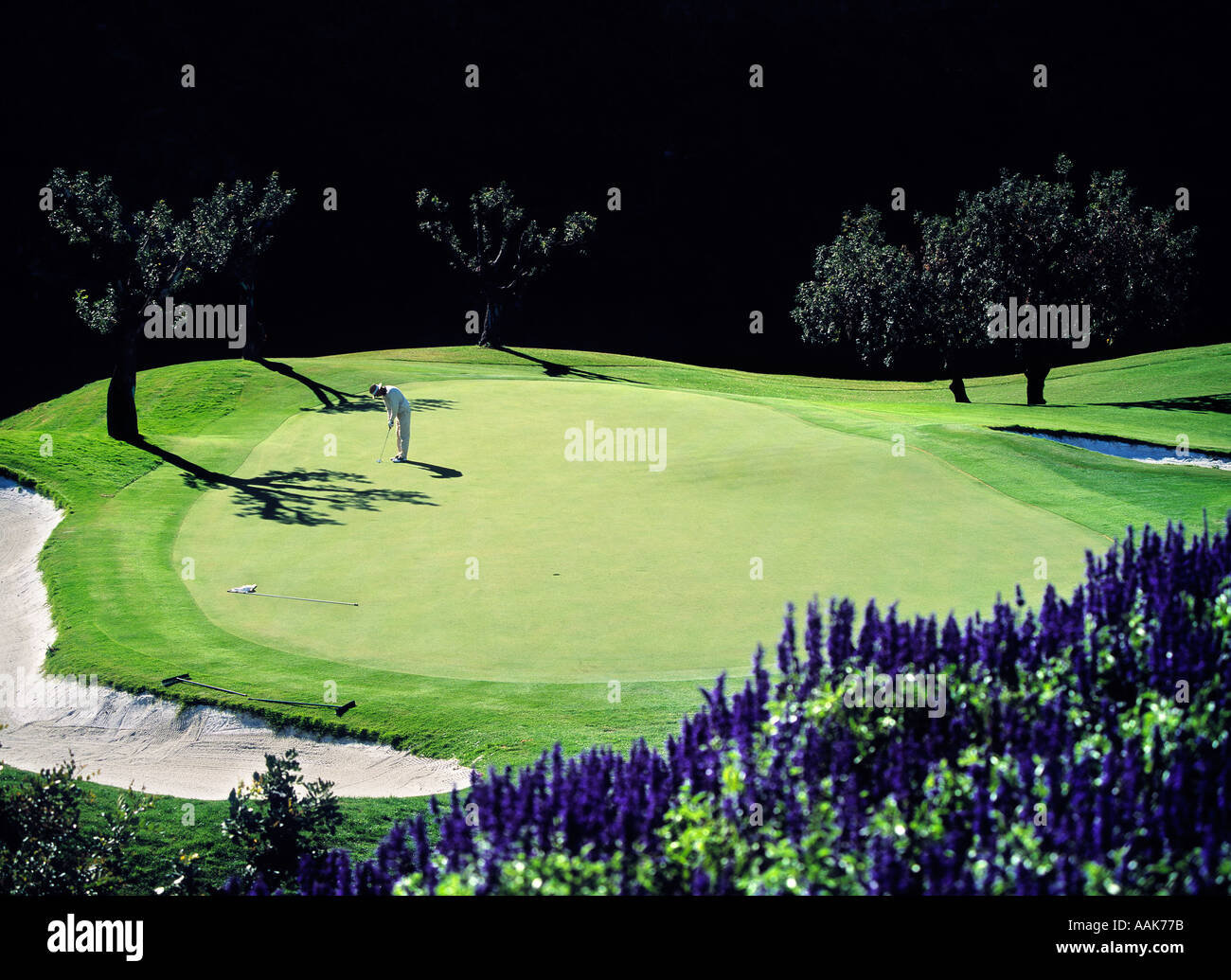 Flamingos golf course estepona malaga hi-res stock photography and ...