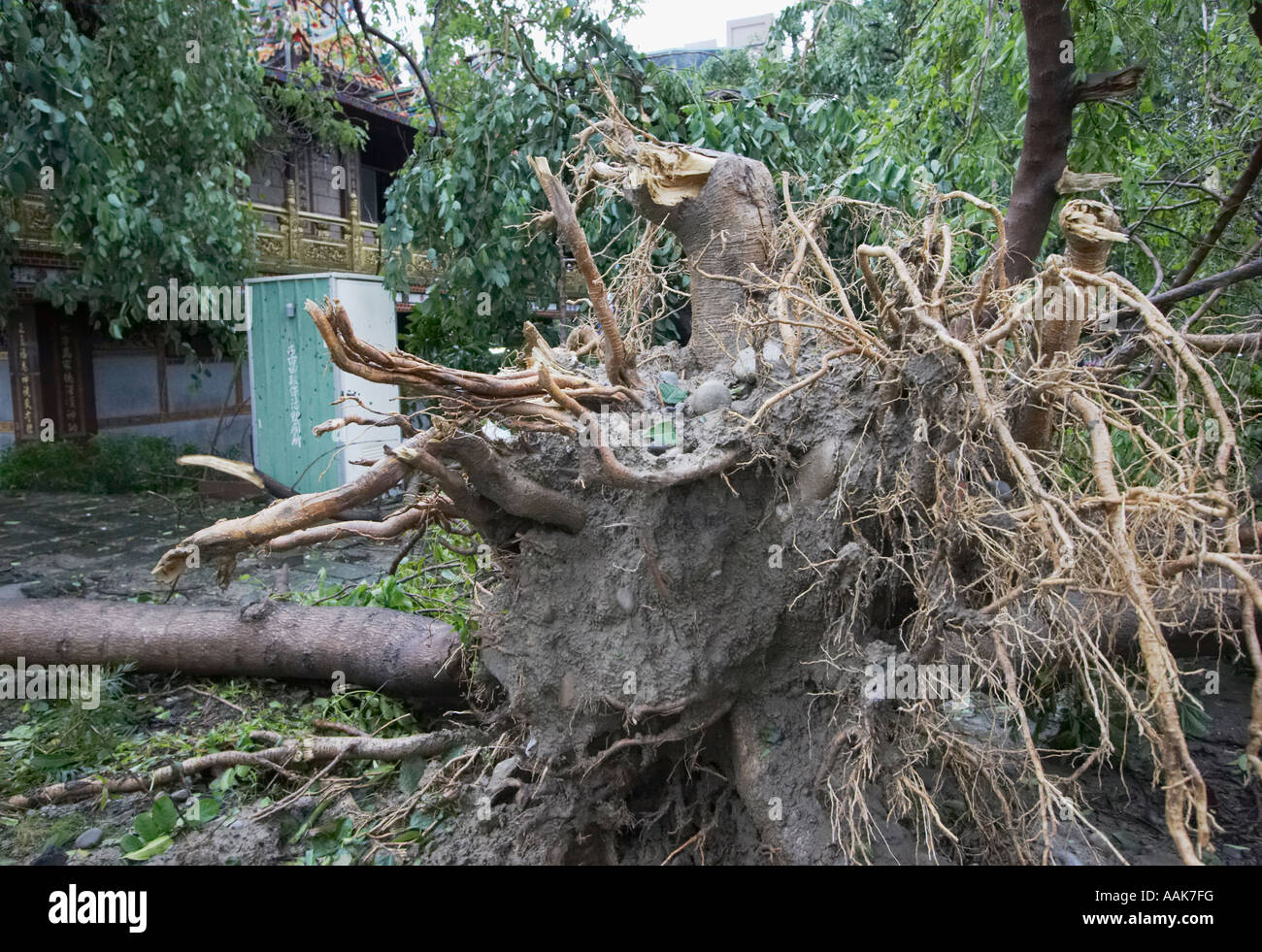 Taiwan typhoon weather storm hi-res stock photography and images - Alamy