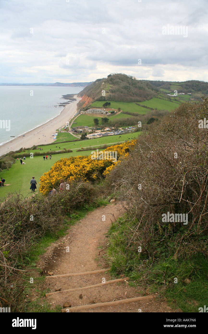 Coastal path near Branscombe, Devon, England Stock Photo - Alamy