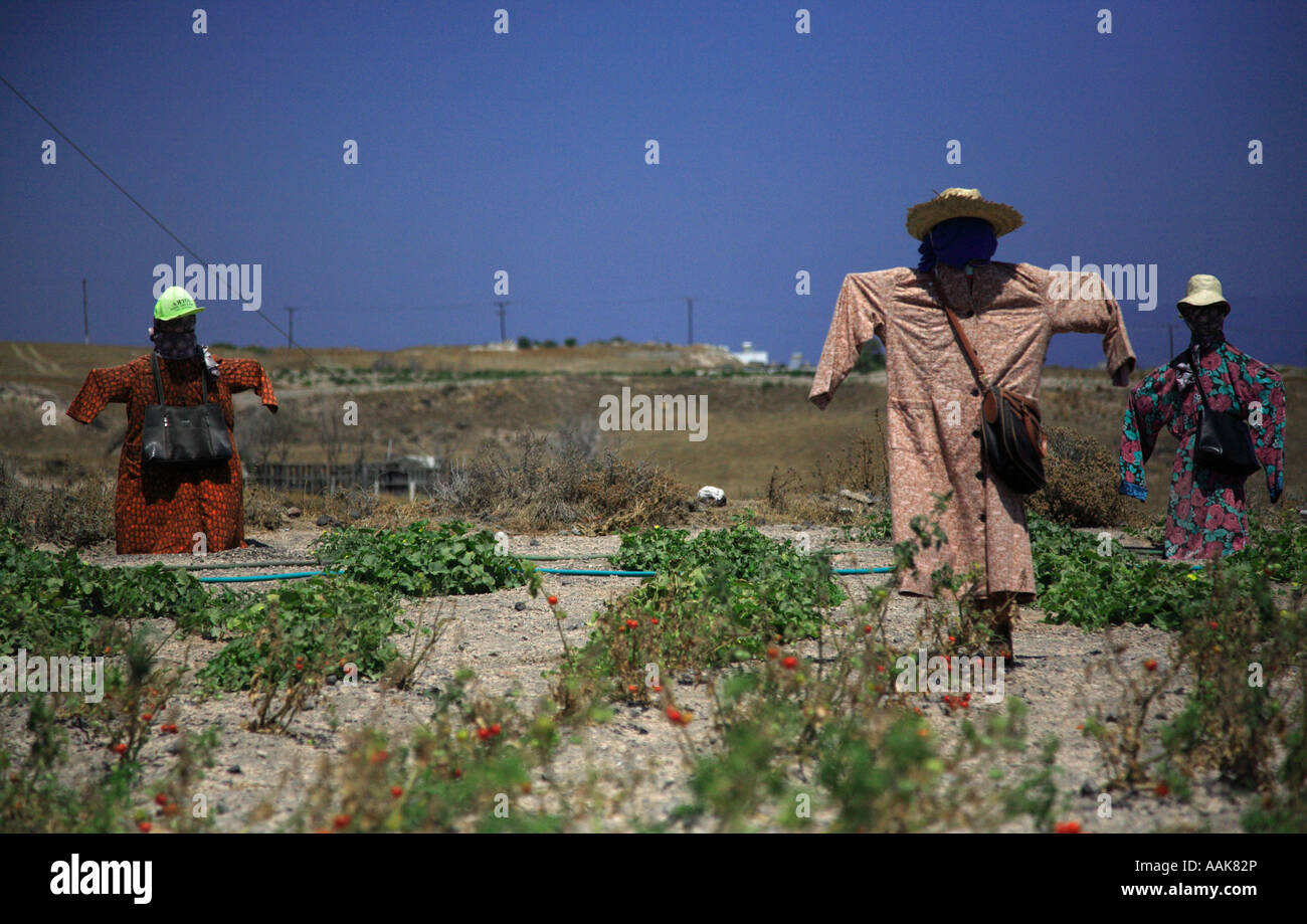 Folklore Ps3 Scarecrow