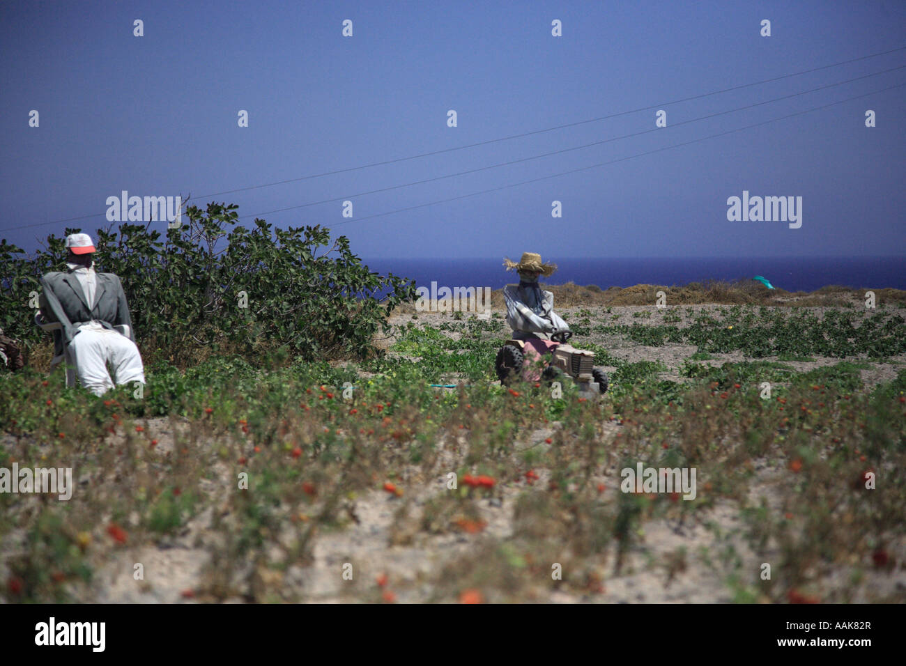Scarecrow beach hi-res stock photography and images - Alamy