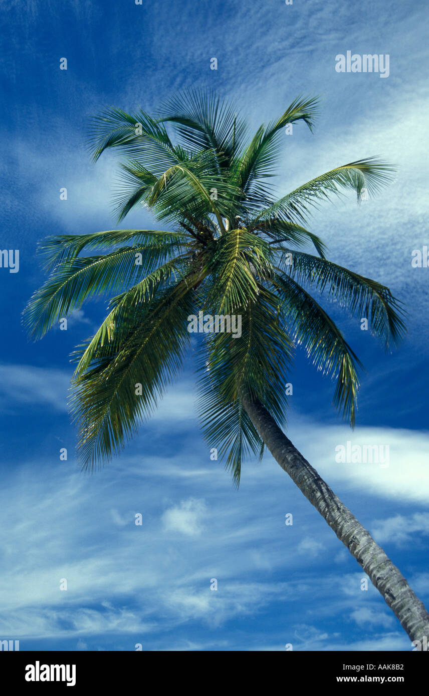1996 grenada hi-res stock photography and images - Alamy