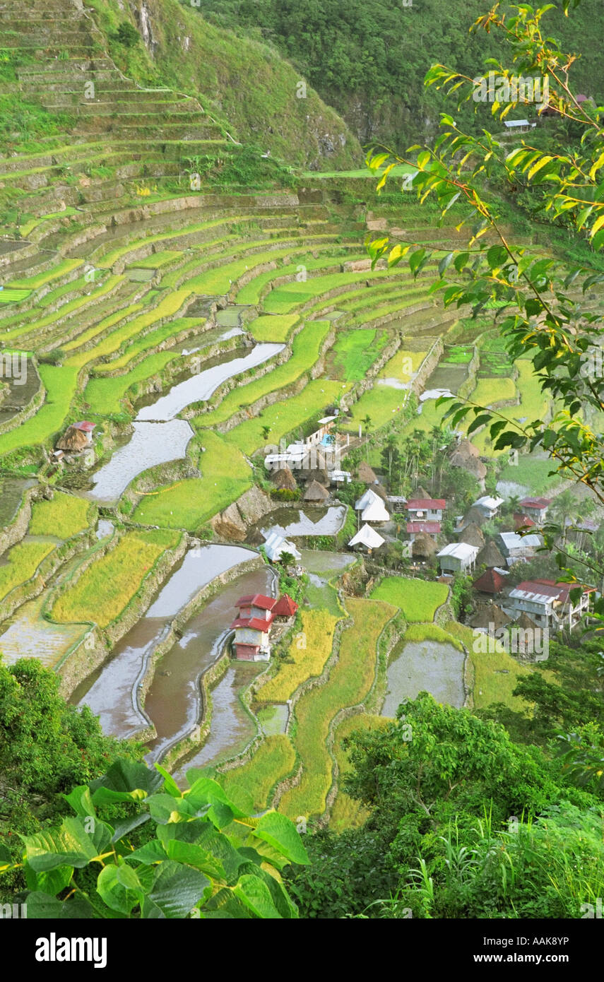 Rice terraces north luzon philippines hi-res stock photography and ...