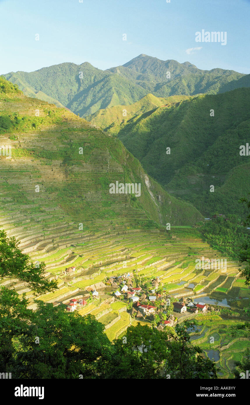 View Of Batad Village At Dawn Stock Photo - Alamy