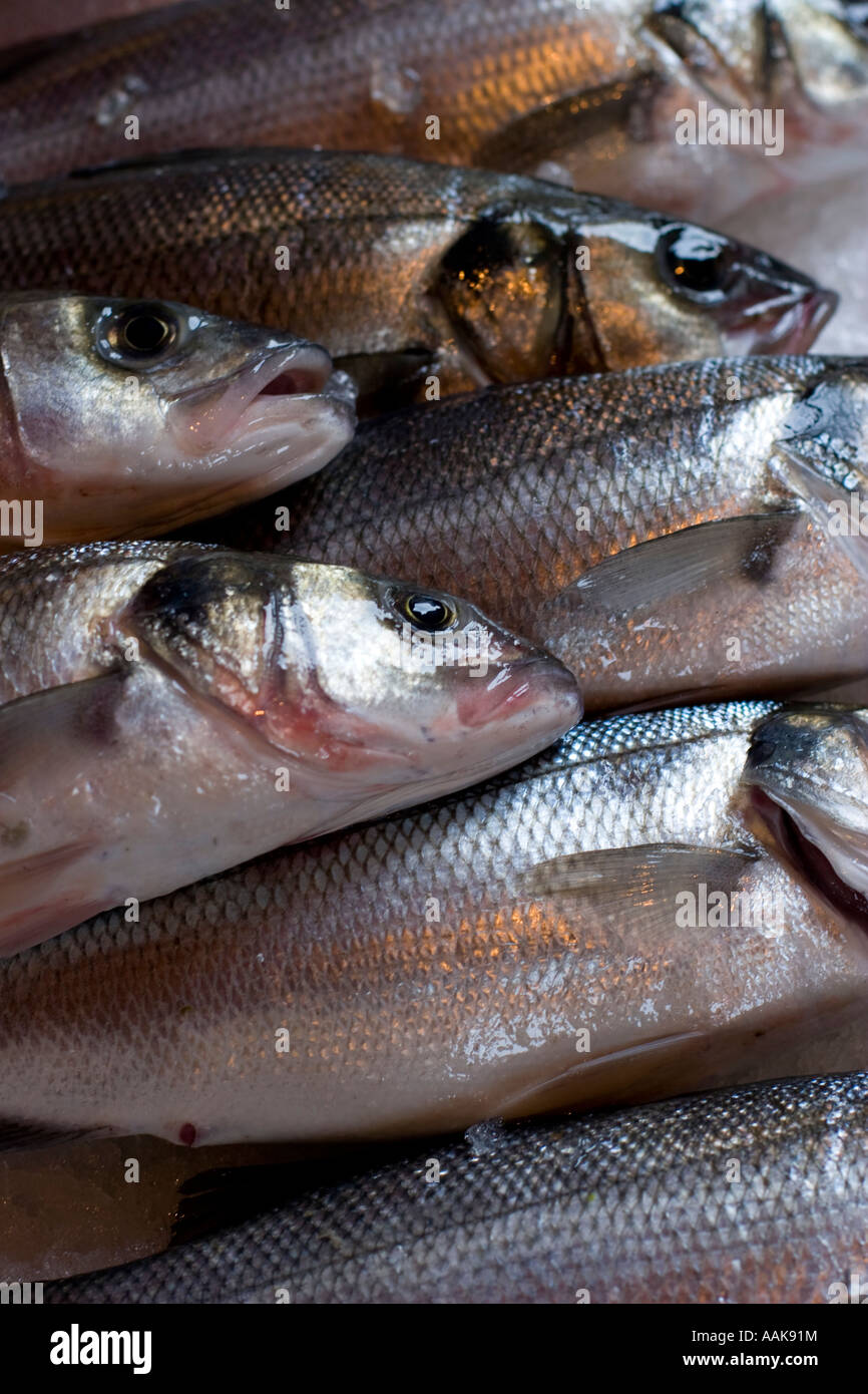Fresh fish for sale displayed at a market stall Stock Photo - Alamy