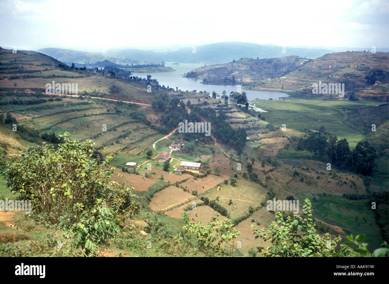 Hillside farms with Lake Bunyoni in the distance near Kabale in south ...