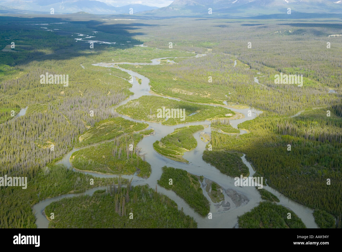 Kaskawalsh Glacier delta in Kluane National Park Stock Photo - Alamy