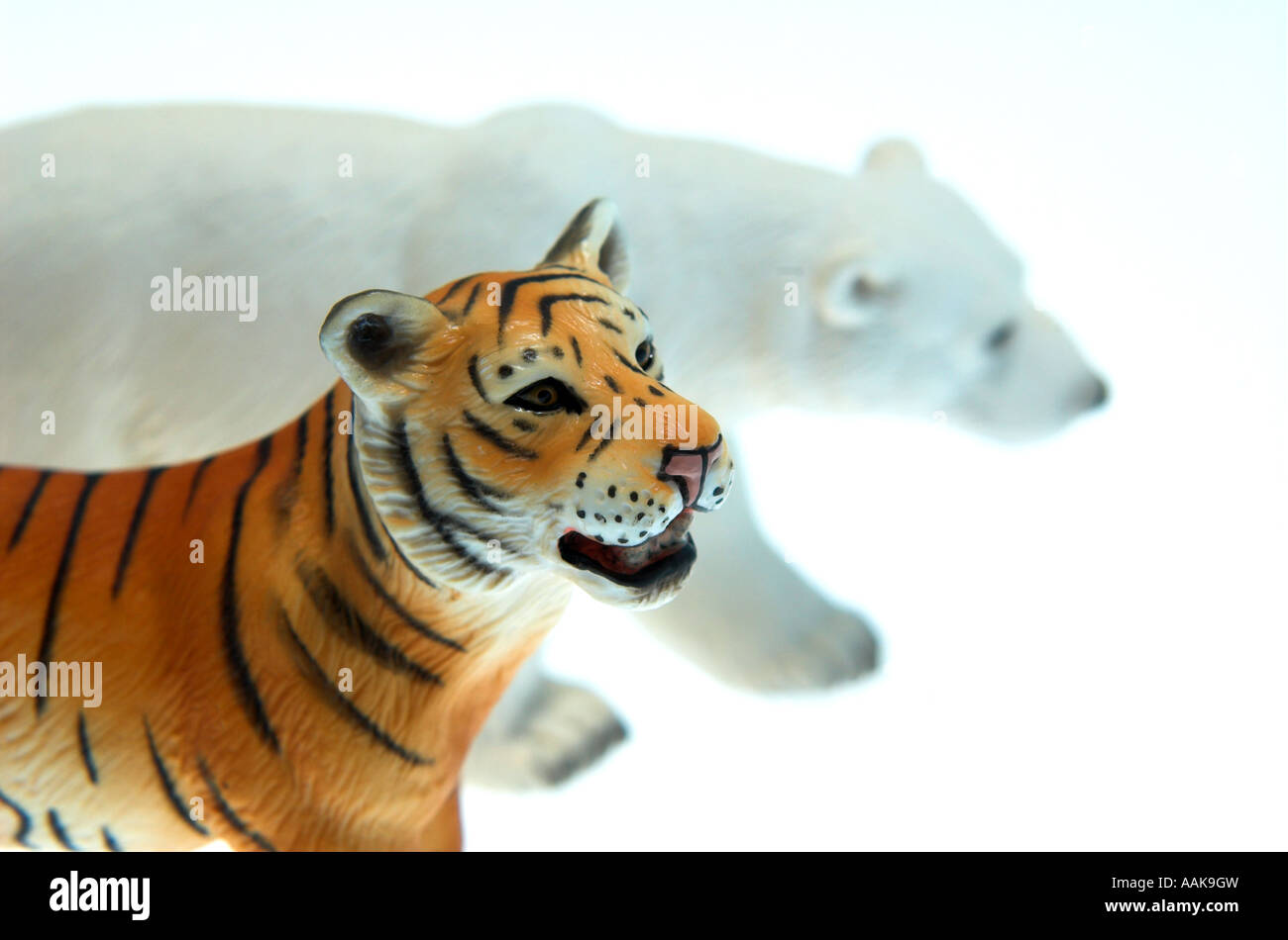 Polar Bear Vs Siberian Tiger