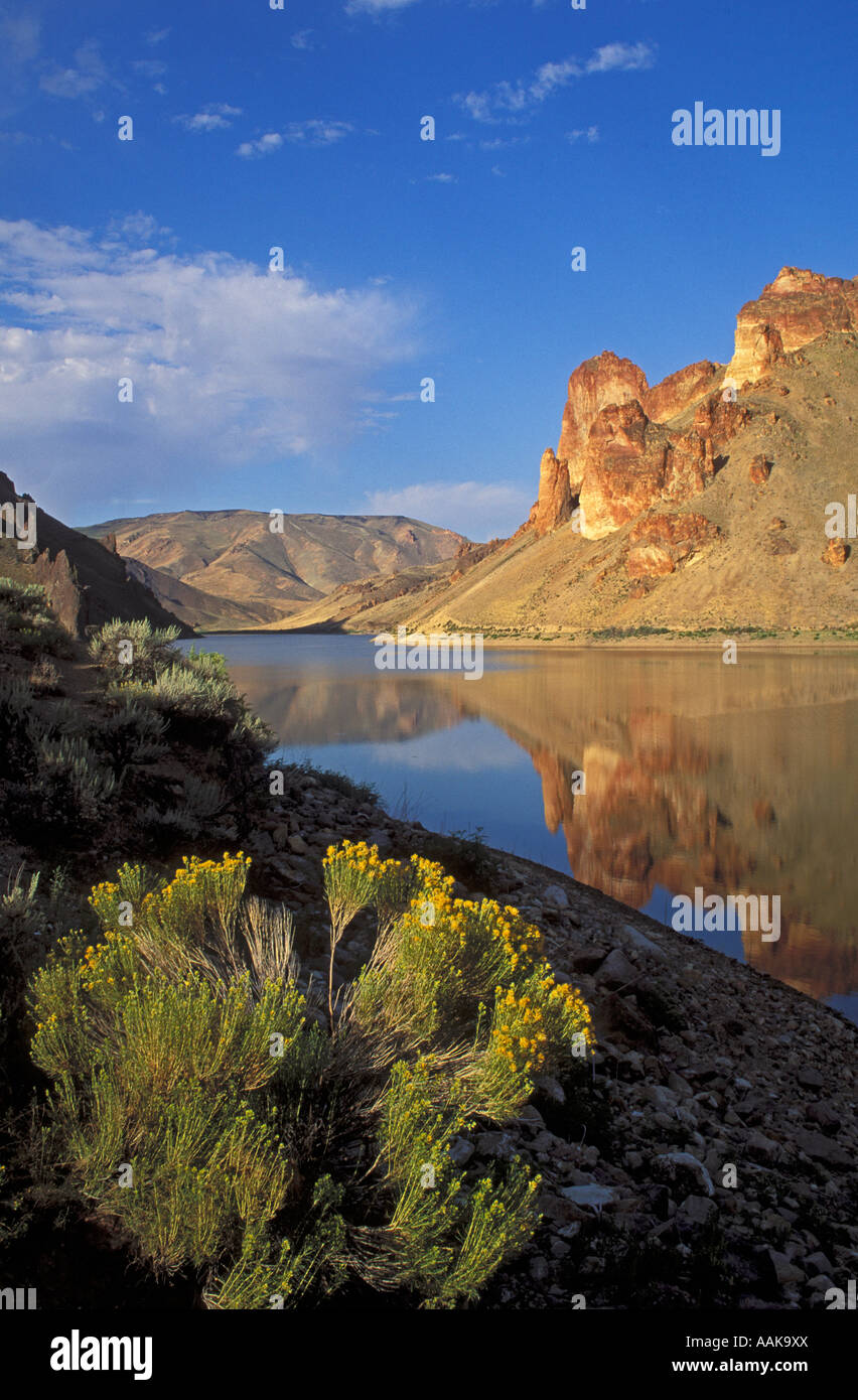 Lake Owyhee at Leslie Gulch BLM National Backcountry Byway southeast ...