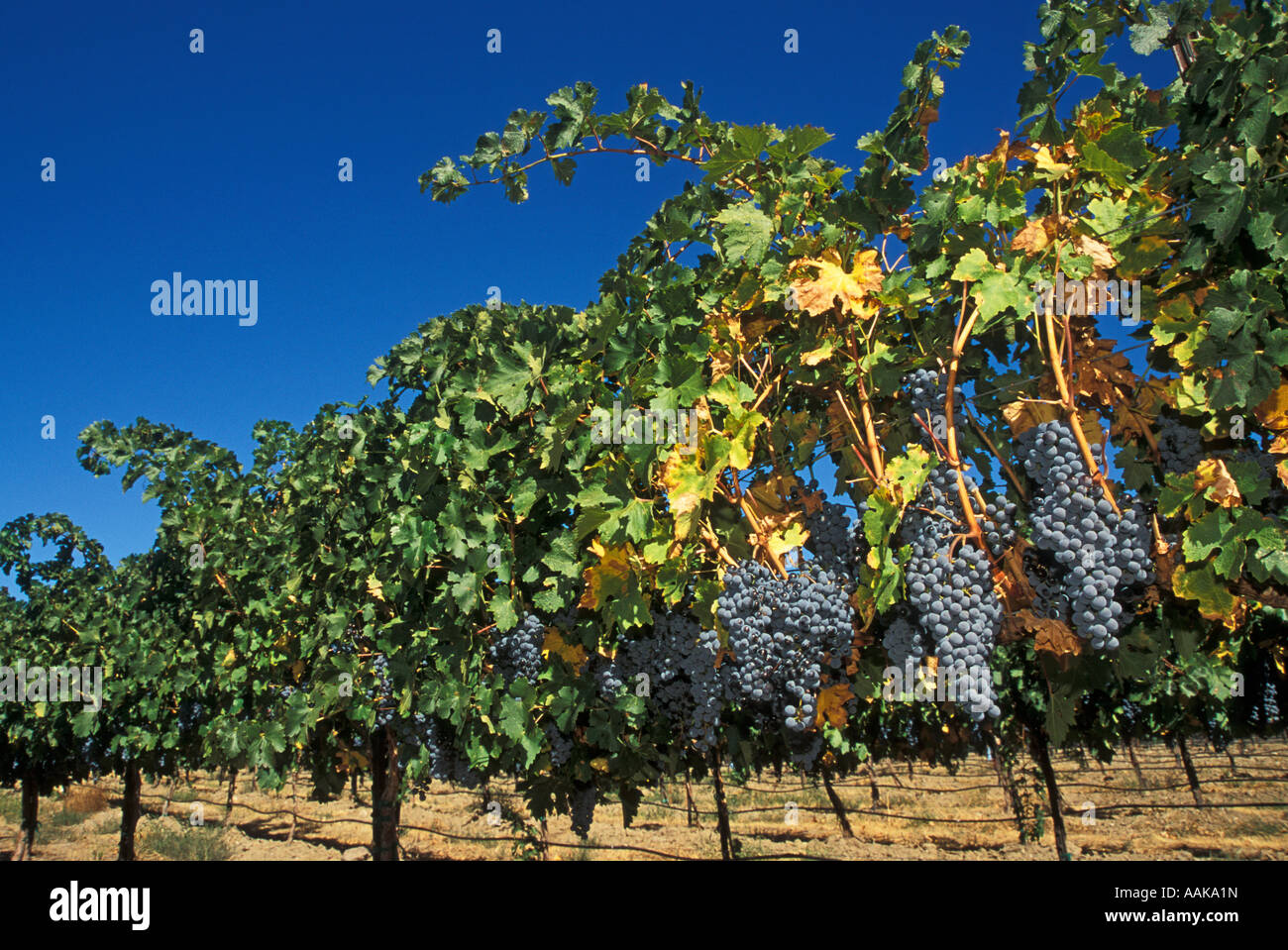 9031 6713 hi-res stock photography and images - Alamy