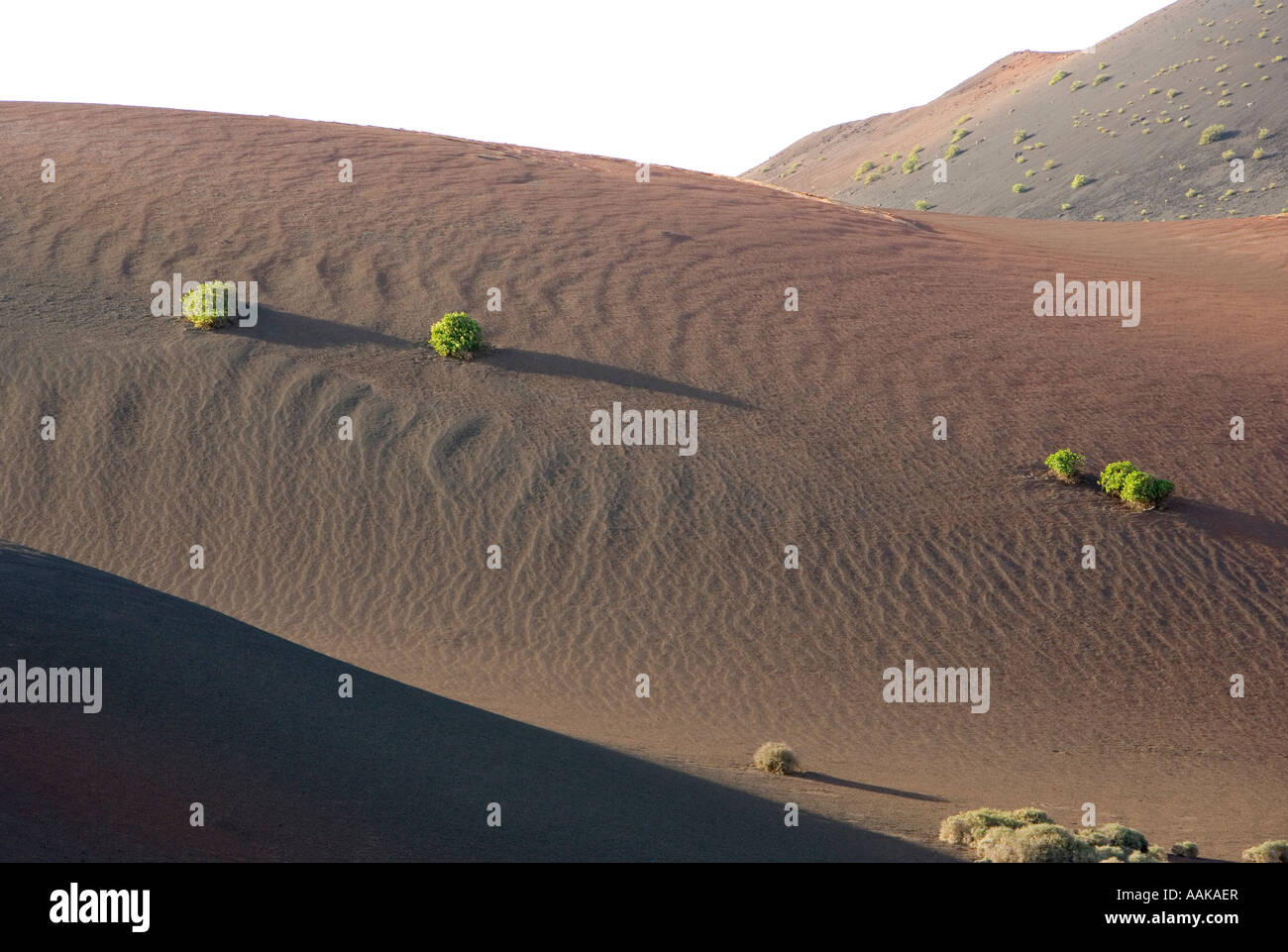 Rugged volcanic landscape and dunes of cinders at Timanfaya National ...