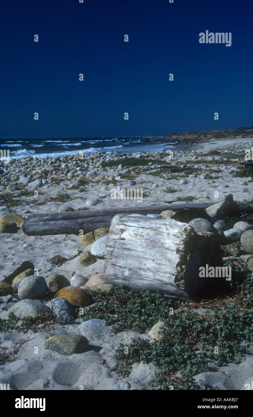 Pebble Beach California Stock Photo - Alamy