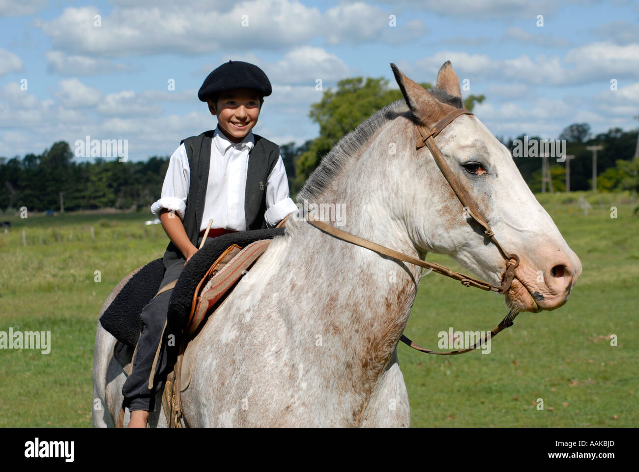 Gaucho bridle hi-res stock photography and images - Alamy