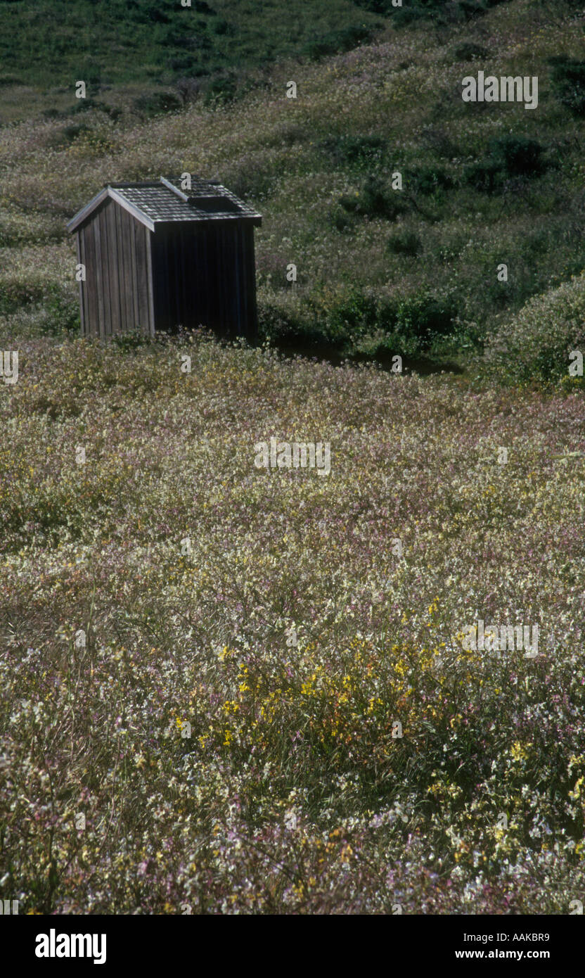 Wildflower meadows california hi-res stock photography and images - Alamy