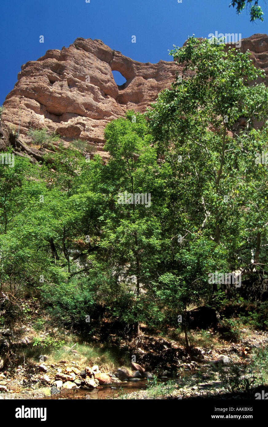 Cliff with eroded rock window, Hell Hole, Aravaipa Canyon Wilderness ...