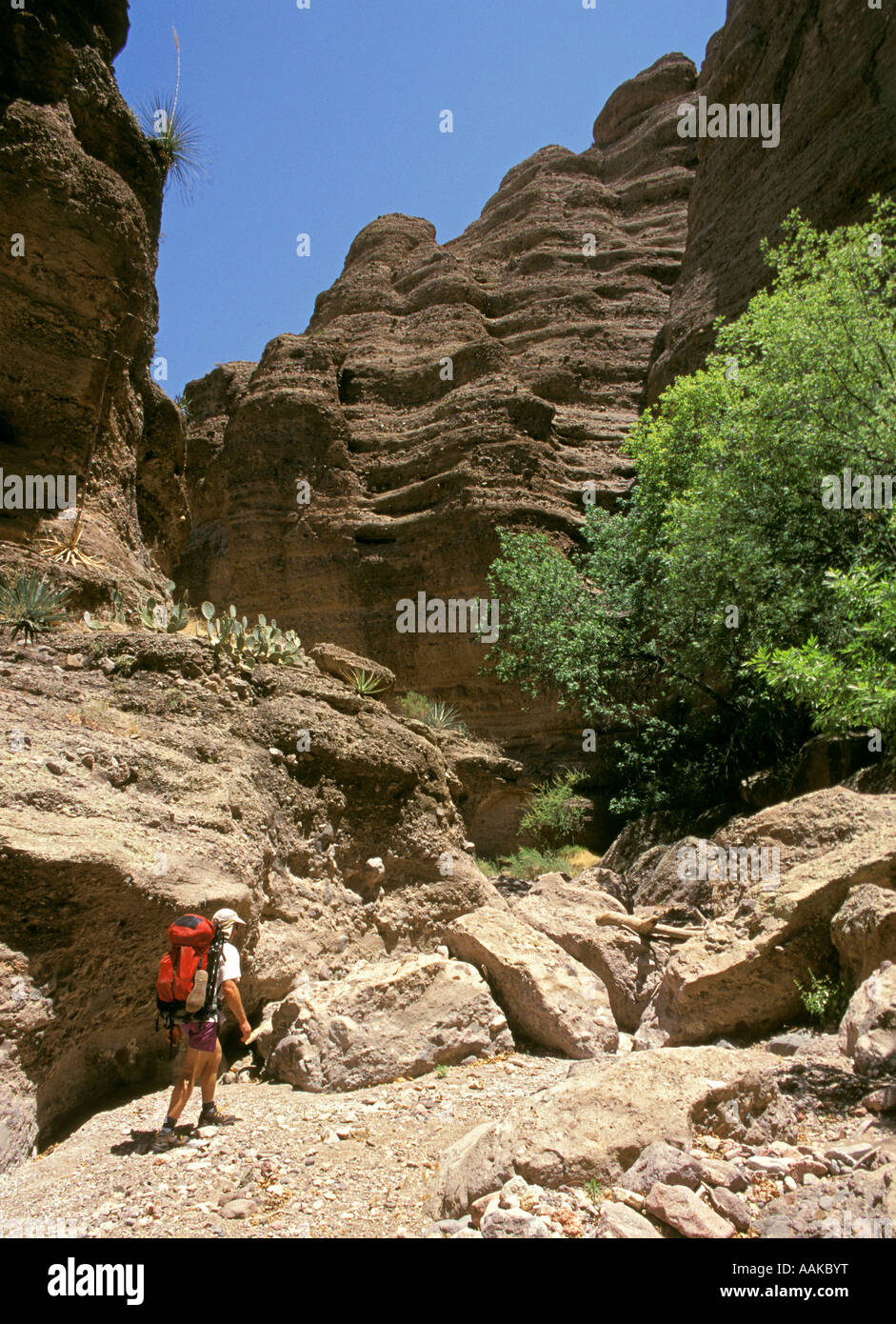 Backpacking through Aravaipa Canyon Wilderness Area Arizona Stock Photo ...