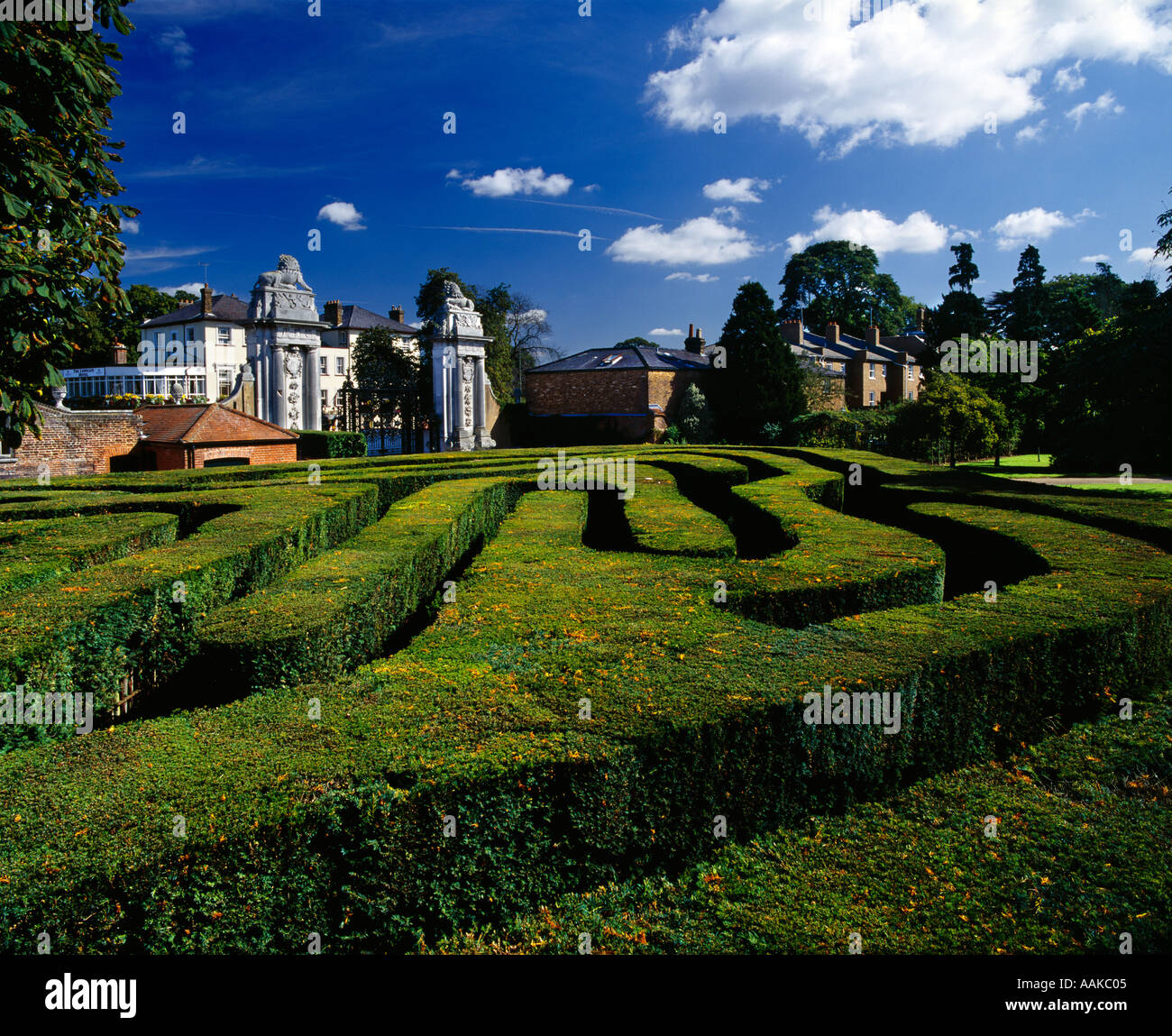 Hampton court maze hi-res stock photography and images - Alamy