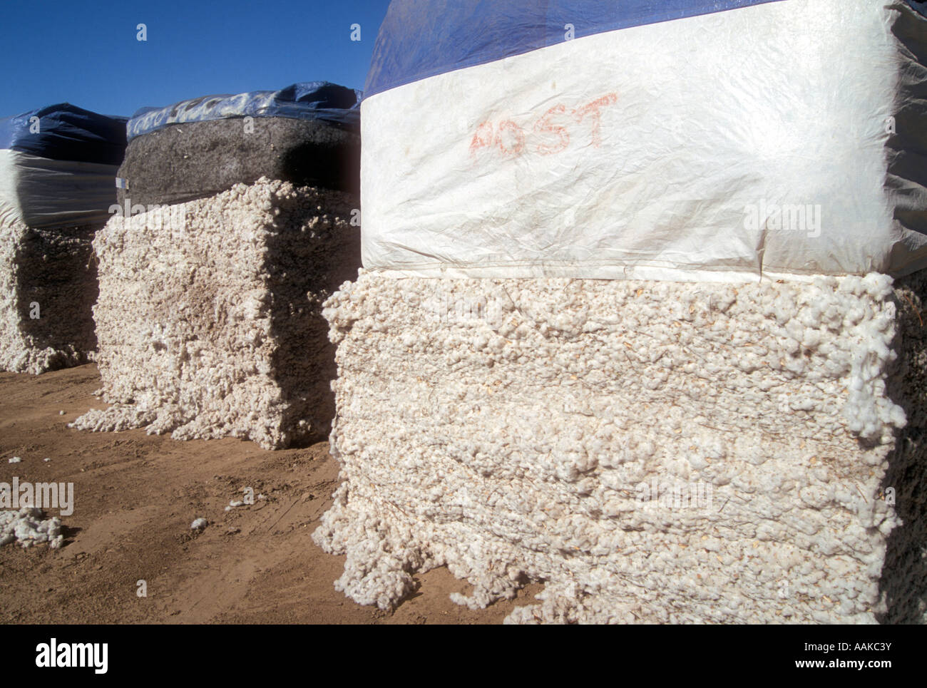 Stacked bales of cotton ready for market Marana Arizona Stock Photo - Alamy