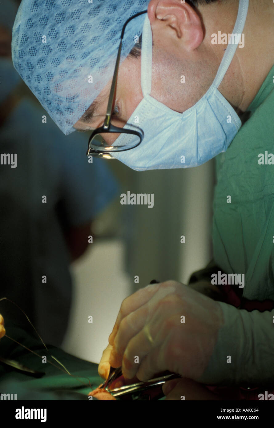 Male surgeon operating Stock Photo - Alamy