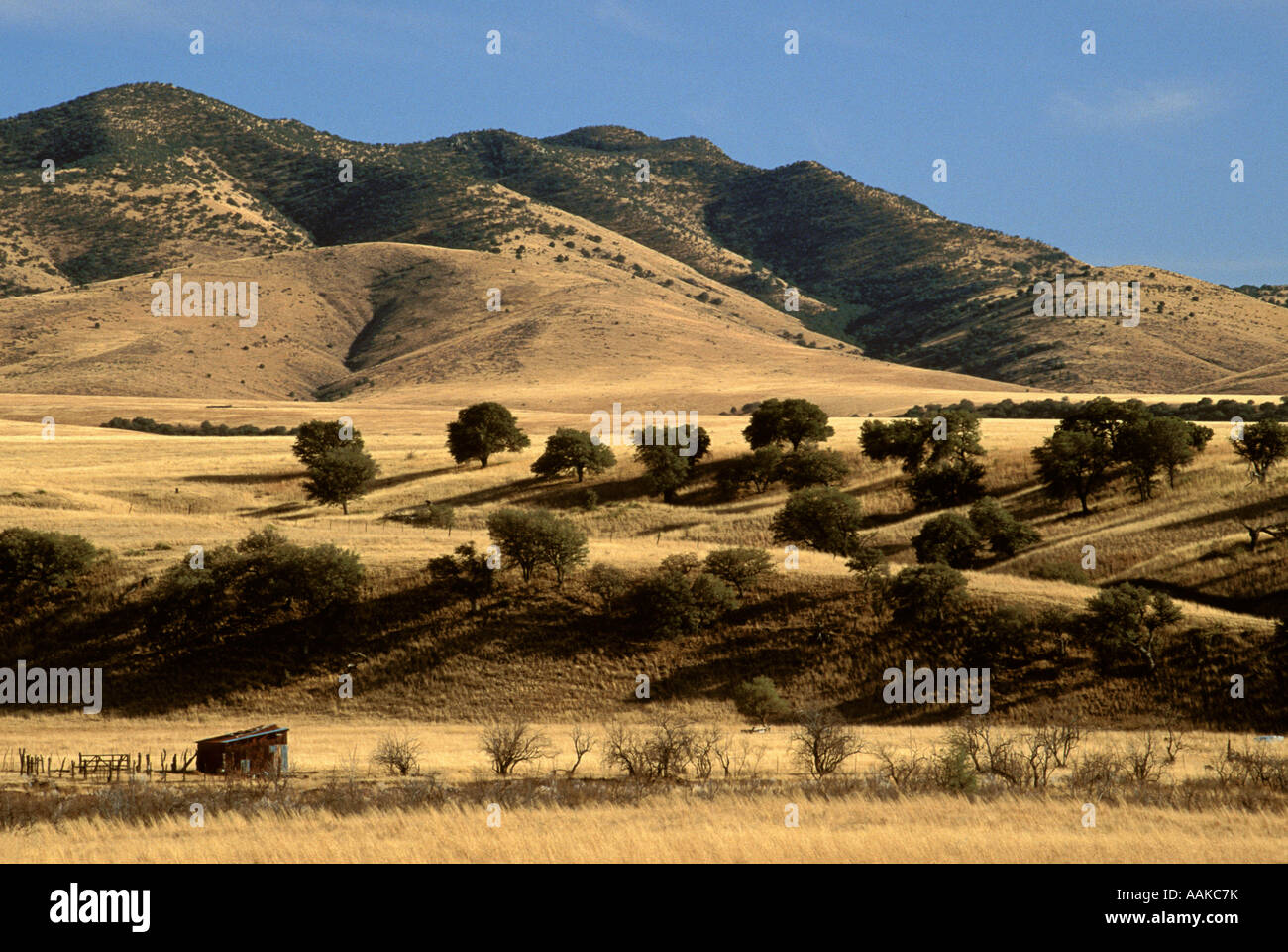 Scenic Santa Cruz County Arizona Stock Photo - Alamy