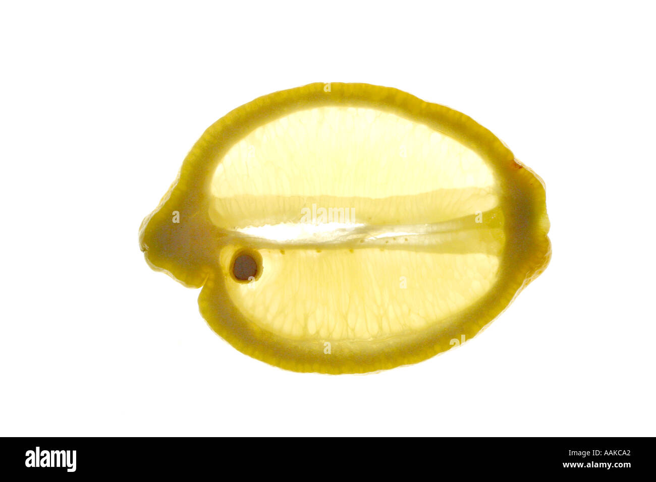 Slice of lemon still life backlit studio still life Stock Photo - Alamy